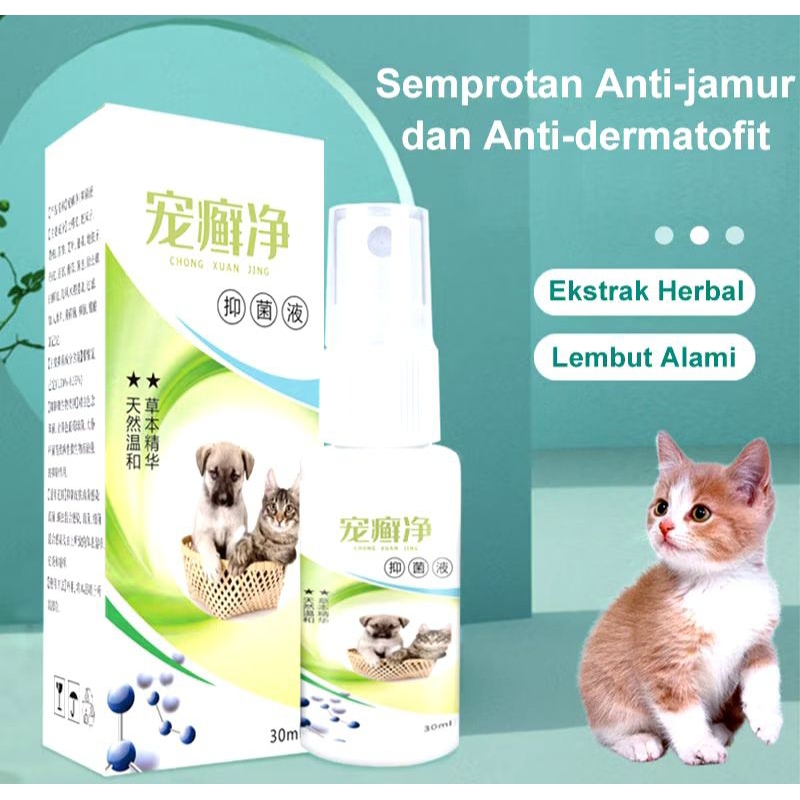 ANTI-SCABIES DEMODEX FLEA FUNGUS SCABIES INFECTIONS SKIN CORRECTS ...