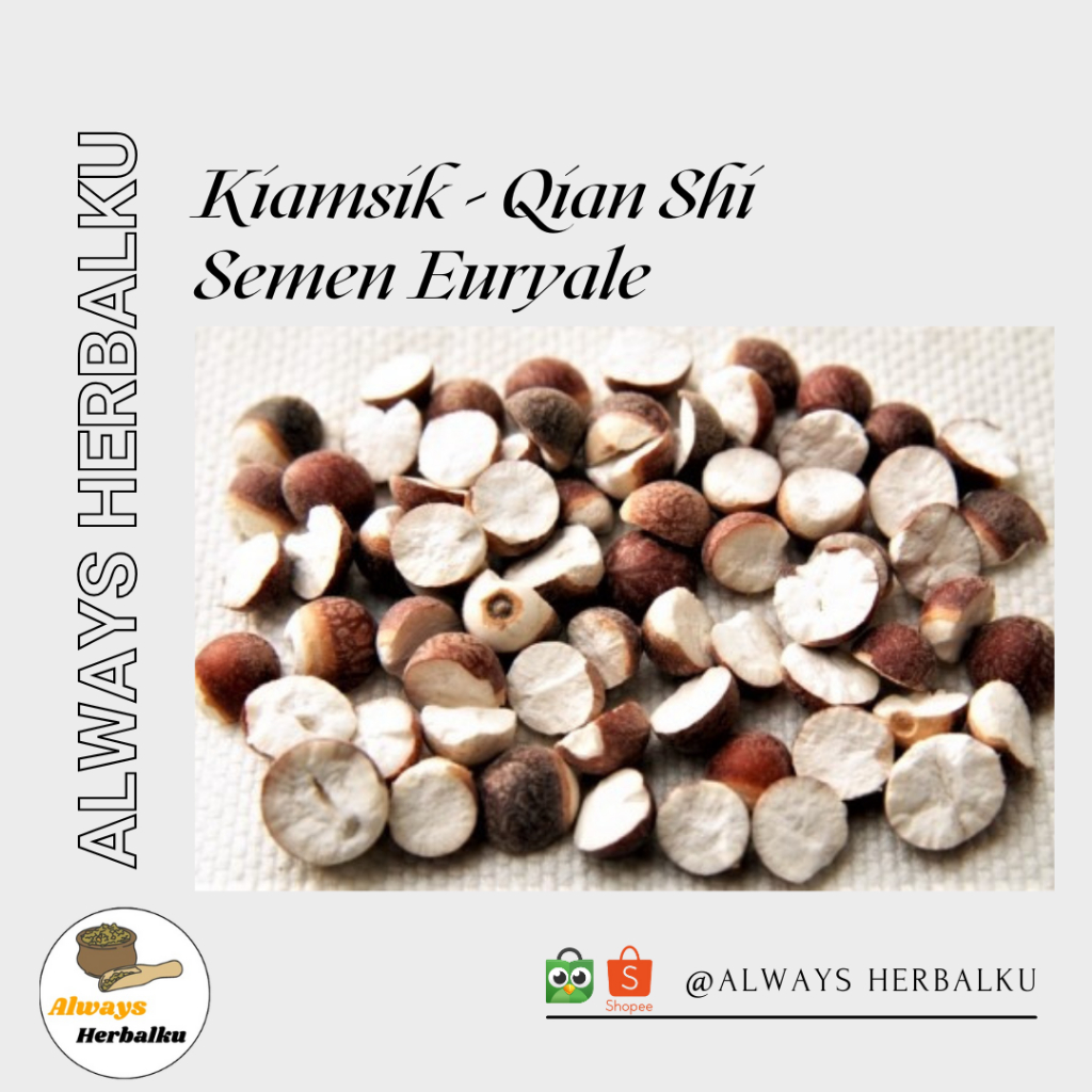 Kiam sip / Qian shi / Euryale seeds / Fox nut seeds (50 grams) | Shopee ...