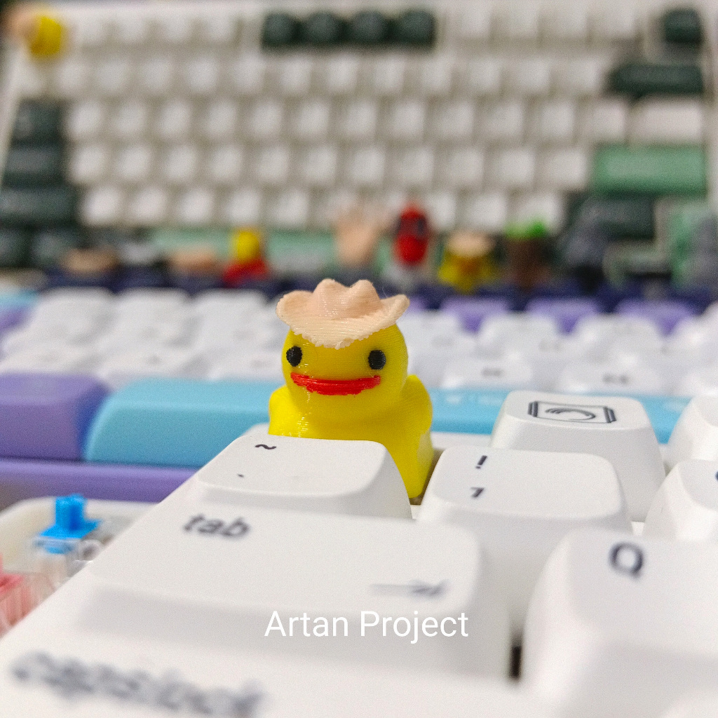 Ducky keycaps mechanical keyboard artisan | Shopee Singapore