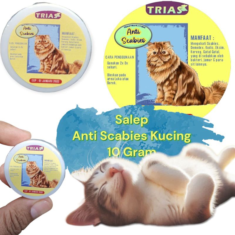 Dog cat Scabies ointment/cat fungus ointment/cat wound ointment/fungal ...