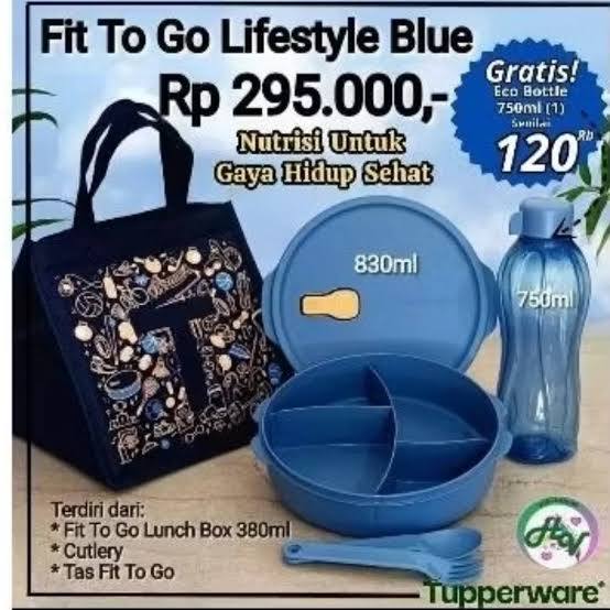 Tupperware - Fit To Go Lifestyle Blue (Lunchbox Delivery Tool) ONLY IDR ...