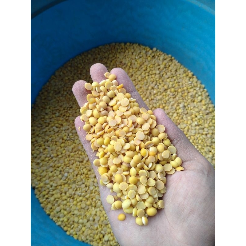 Peeled Soybeans 1kg - grade A (no skin) | Shopee Singapore