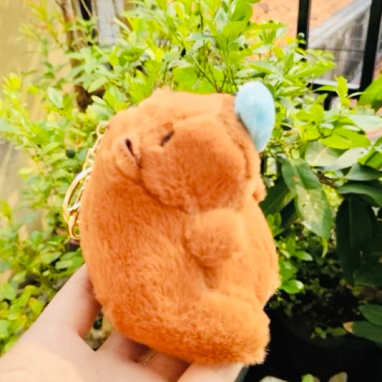 Now The Capybara Doll Snot Can Be Pulled By The Capybara Animal ...