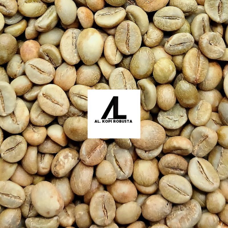 Green BEAN ROBUSTA DAMPIT COFFEE GRADE 1 PREMIUM SIZE 8mm - 1 KG ...