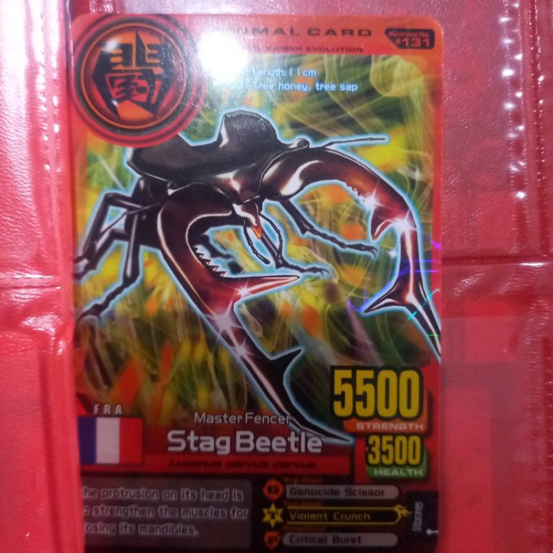 Animal Kaiser card Stag Beetle card | Shopee Singapore