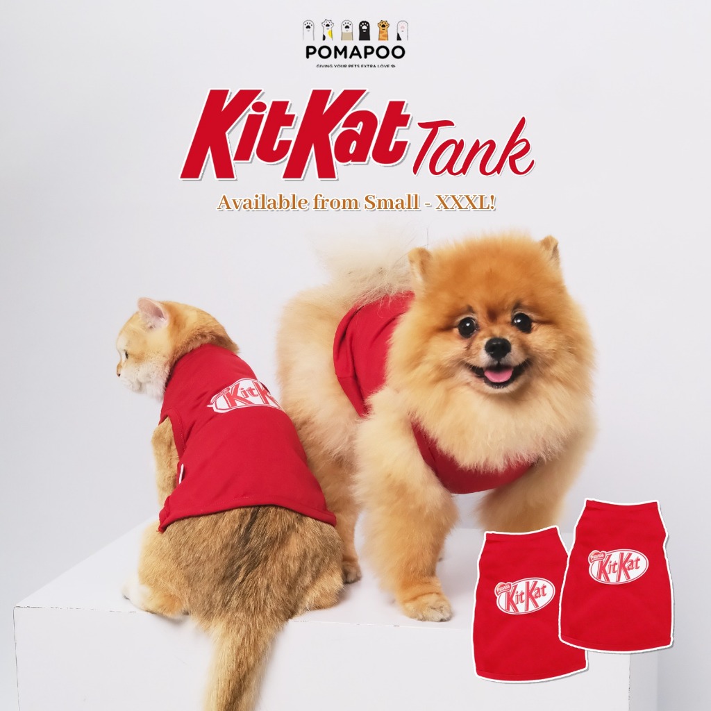Pomapoo - Kitkat Tank Cat Clothes and Dog Clothes | Shopee Singapore