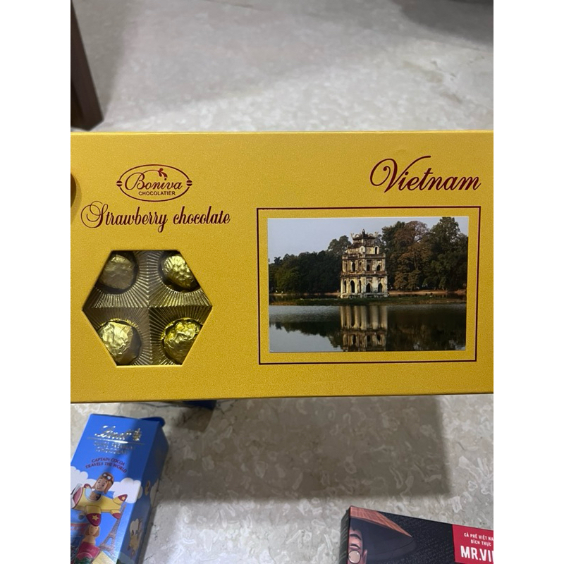 Vietnamese Chocolate Boniva Chocolatier strawberry chocolate ...