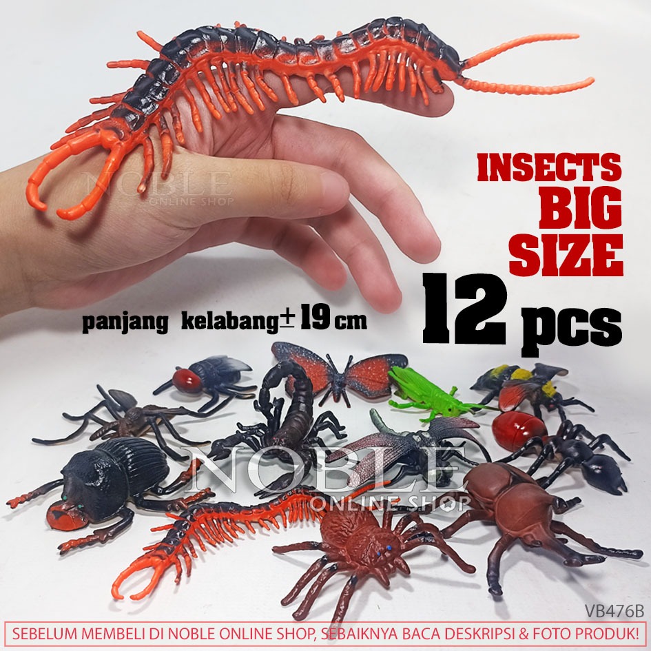 [12 Pcs BIG SIZE] SET B INSECT INSECTS EDUCATIONAL TOYS BIG GIANT JUMBO ...