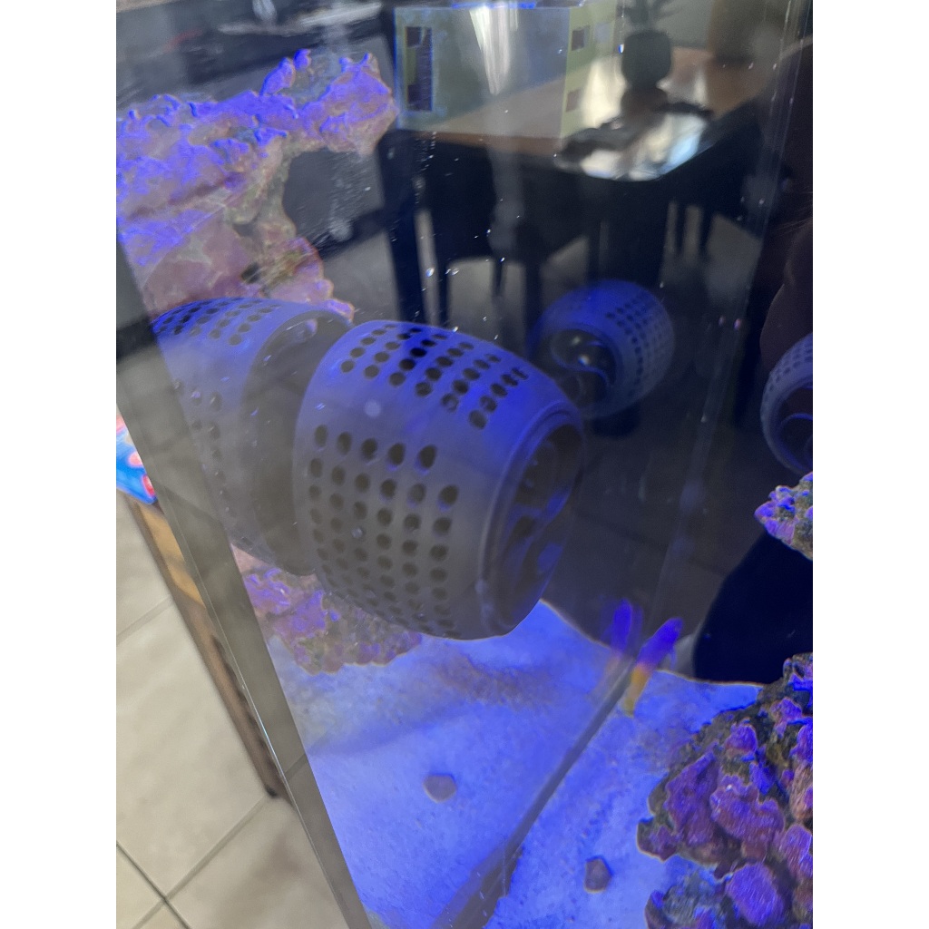 Anemone Guard Wavemaker Jebao Jecod DMP-20 Wavemaker Protector From ...