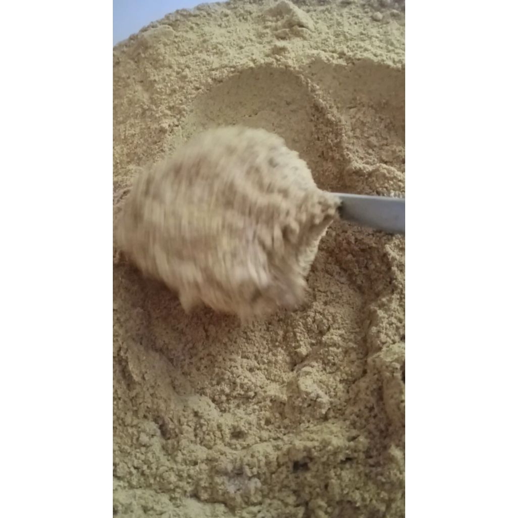 Emprit Ginger Powder |Original Organic Ginger Powder without any ...