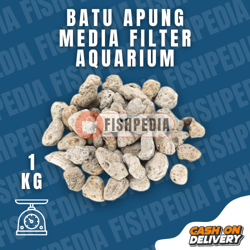 Pumice stone filter media / pumice stone 1 kg | Shopee Singapore