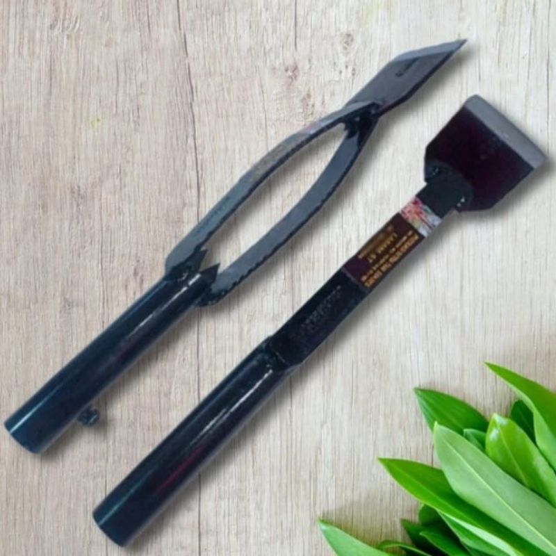 DODOS Palm Oil Kastration Tool / DODOS Palm Oil Guaranteed Steel ...