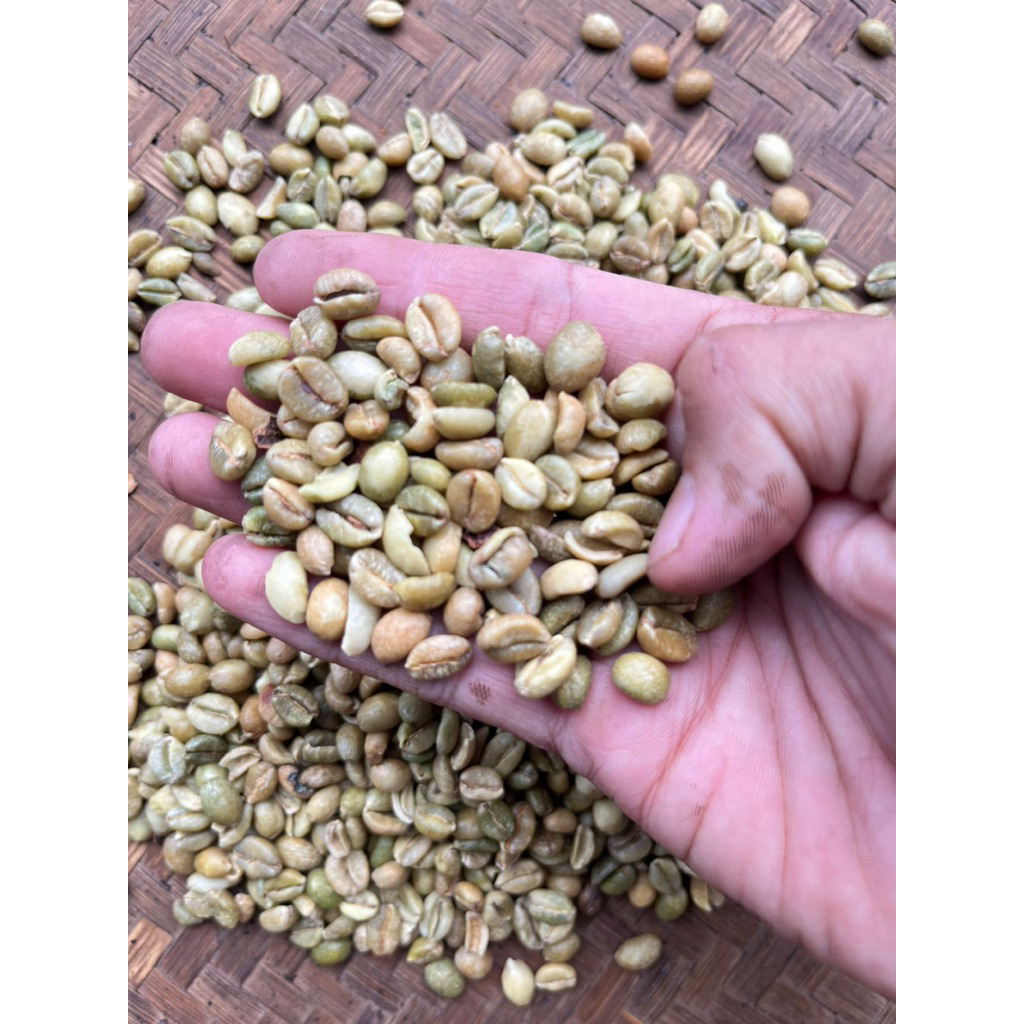 EXCELSA GREEN BEAN COFFEE BEANS/LIBERIKA SARI ASLAN 1 KG | Shopee Singapore
