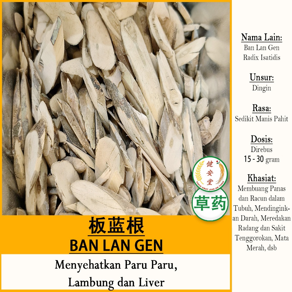 BAN LAN GEN - Woad Roots - Radix Isatidis - Herbal TCM Healthy Lungs ...