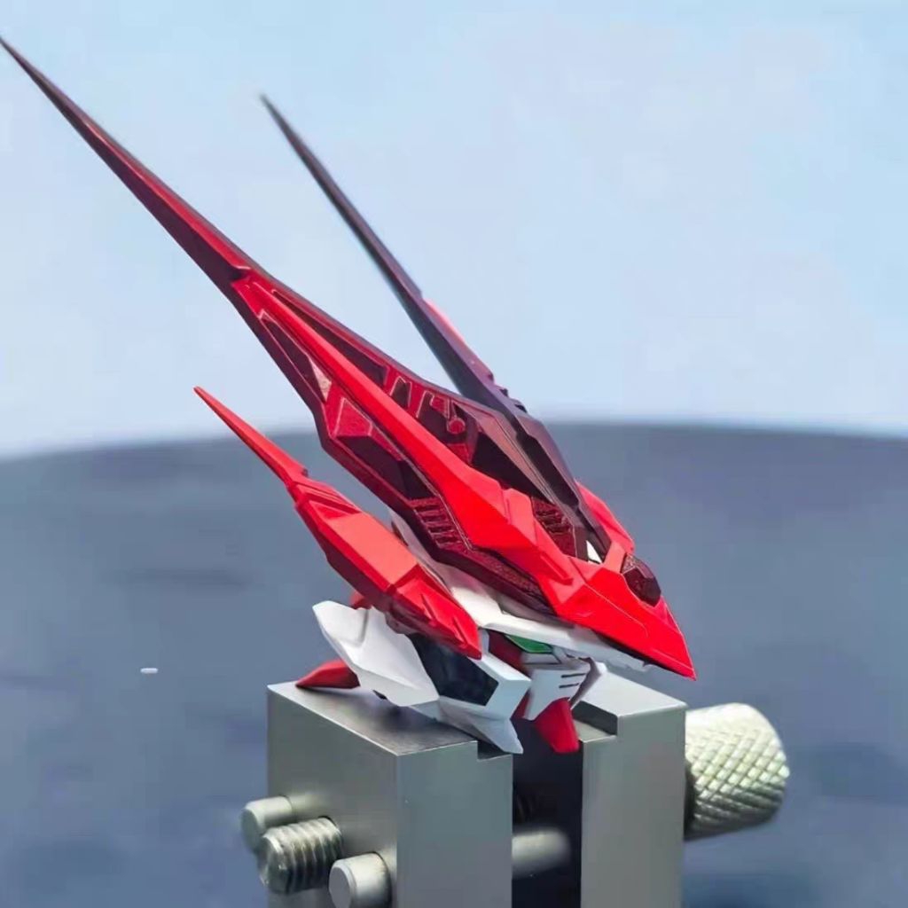 MG 1/100 GUNDAM ASTRAY RED DRAGONIC HEAD BROKEN WIND STUDIO | Shopee ...