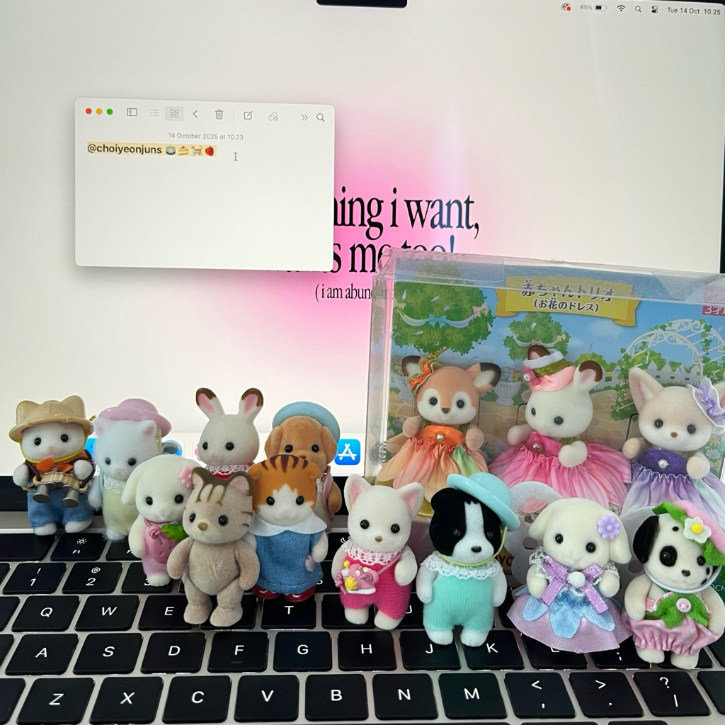 SYLVANIAN FAMILIES Sylvian families Rabbit latte Cat chihuahua border ...