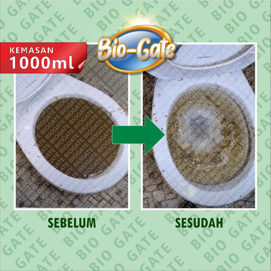 BIO GATE Clogged Toilet Drain Bacteria + Effective Odor Remover Safe ...
