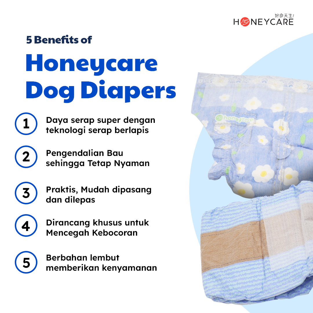 [ More SAVING ] Bundling Honey Care Disposable Diapers Pet Dog Pampers ...