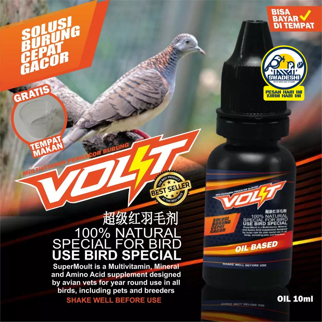 Multivitamin For Corporating The Chirping Bird Of The Chirping Bird Of ...