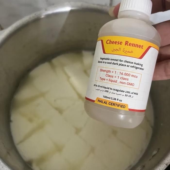 Rennet cheese making artisan cheese | Shopee Singapore