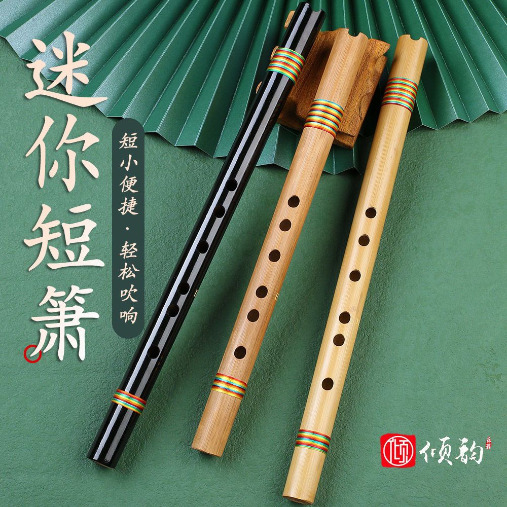 Zero basic introduction Dongxiao portable Kuzhu advanced short xiao ...