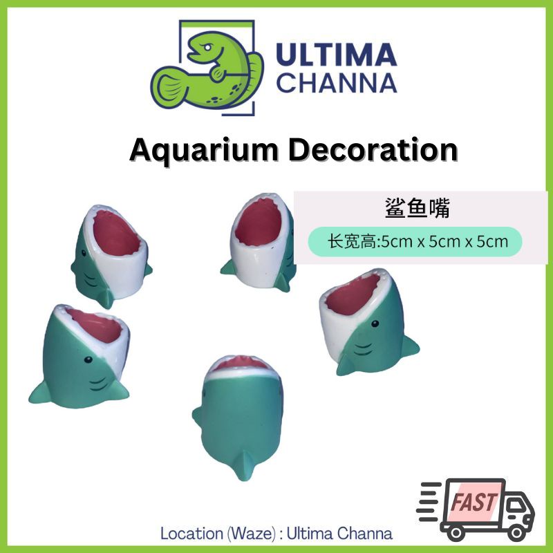 Super Cute Mini Shark aquarium decoration for your fish tank/ shrimp ...