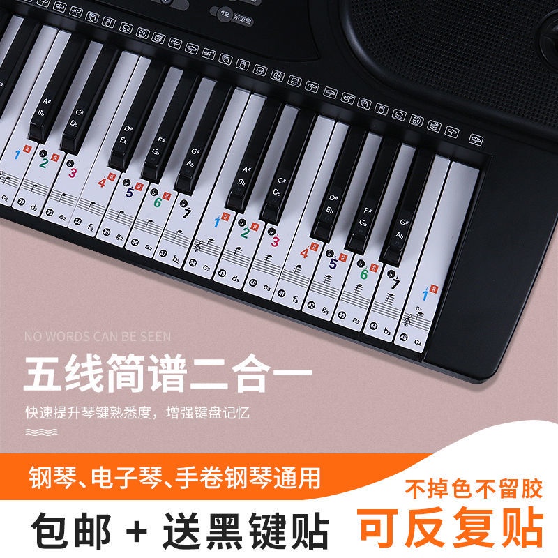 88, 61, 54 keys, piano, electronic organ, keyboard stickers ...