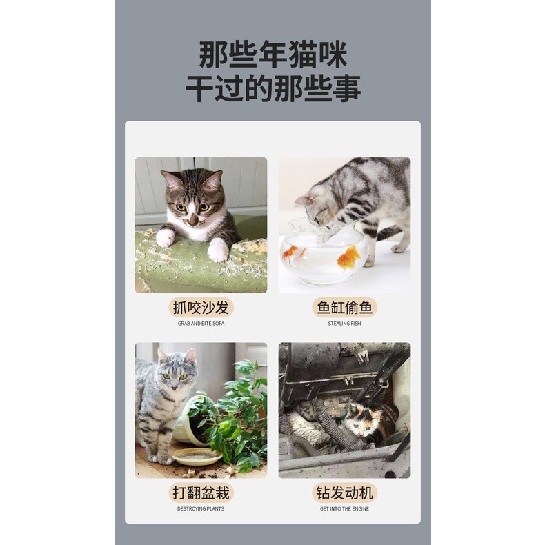 KL 2PCS 防猫垫 防猫刺垫 防猫上床 隔离猫 驱猫 床底 挡板 防猫 刺钉 Isolate Cat Cat-Proof Mat Cat ...