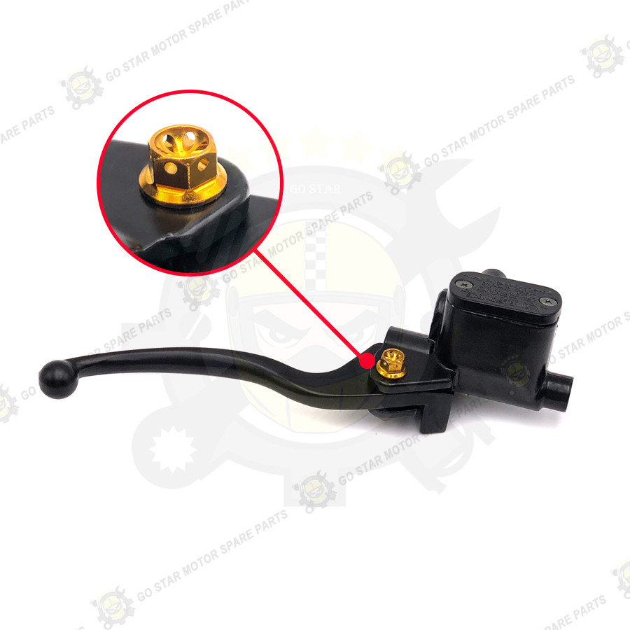 Universal Brake & Clutch Lever Bolt Screw Skru 6*30MM Gold Titanium Y15 ...
