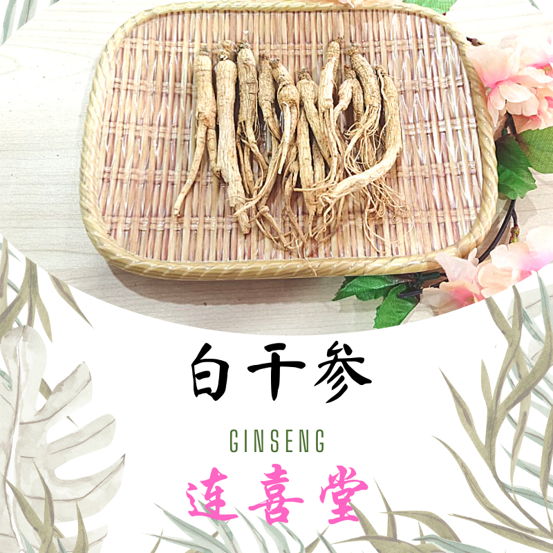 Selected White Dry GINSENG GINSENG 4PCS (Big Tonic Vitality, Spleen ...