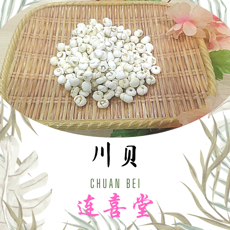 川贝 CHUAN BEI 20g - 100g(Unibract Fritillary Bulb) | Shopee Singapore
