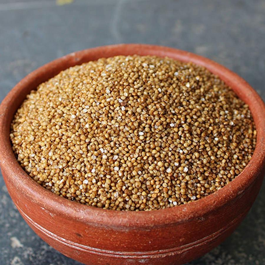 brown / white kodo Millet Indian Crown Grass (paspalum serobialatum ...