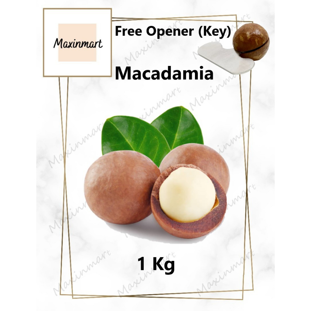 1kg Roasted Macadamia Nut with Shell 烤夏威夷果 | Shopee Singapore
