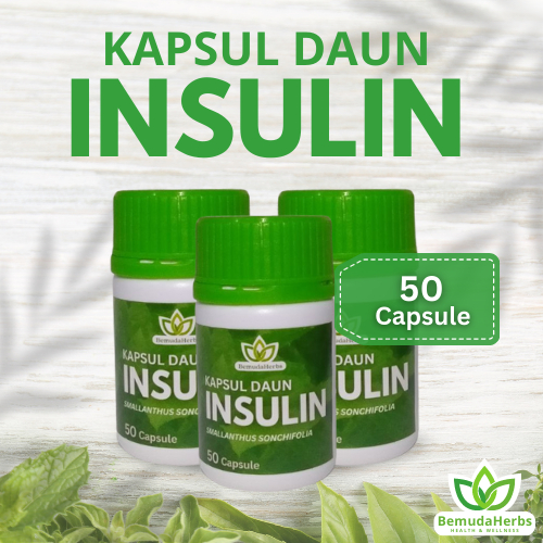 [50 Capsules] Insulin Leaf Capsules / Yakon Capsules / Insulin Capsules ...
