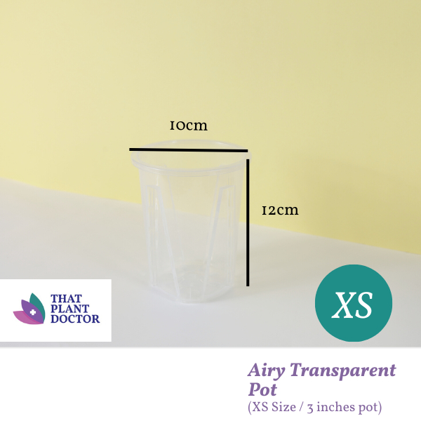 Airy Transparent Pot (XS Size / 3inch) (Diamenter 10cm x Height 12cm x ...