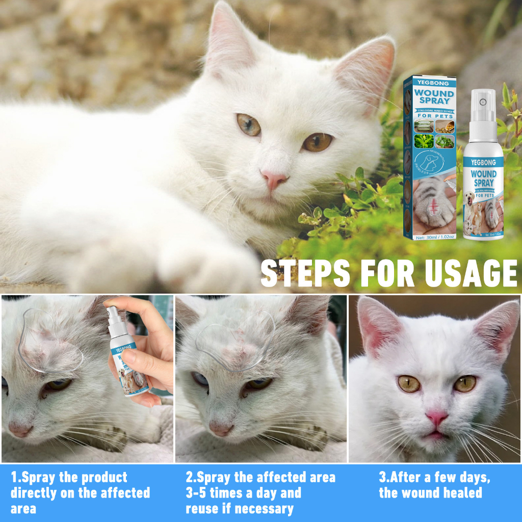 Nano Silver Spray Cat Medicine for Wounds, Itching, Fleas, Rashes ...