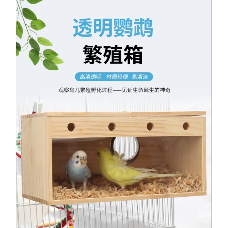 Parakeet Nest Box Bird House Budgie Wood Breeding Box for Lovebirds ...