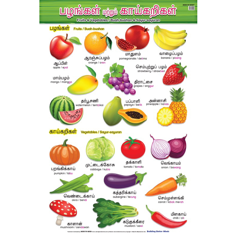 LEARN TAMIL CHARTS (IN 5 TYPES)/CARTA TAMIL | Shopee Singapore