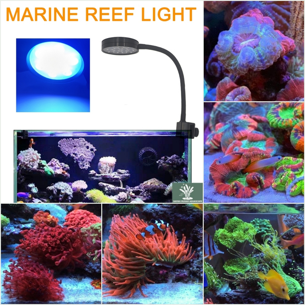 Marine Led Reef Light Aquarium Small Aquarium Nano Reef Marine Tank ...