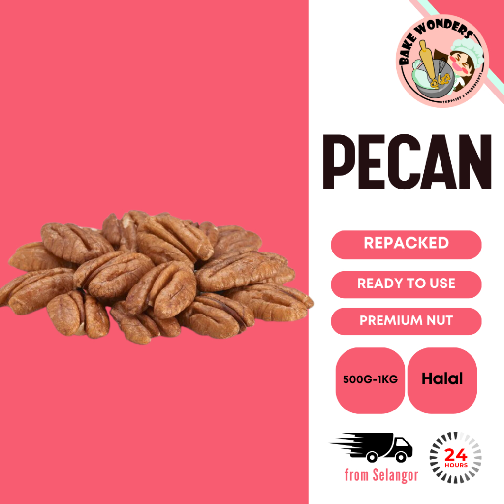 Pecan Nuts/ USA Premium Raw Imported Pecan Nut/Kacang Pecan/山核桃 (500g ...