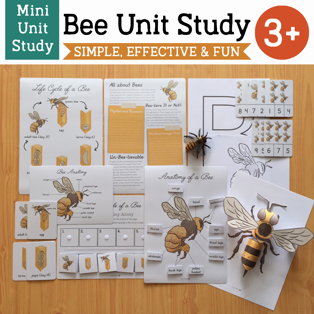 Bee Unit Study - Life Cycle of a Bee - Bee Anatomy - Homeschool ...