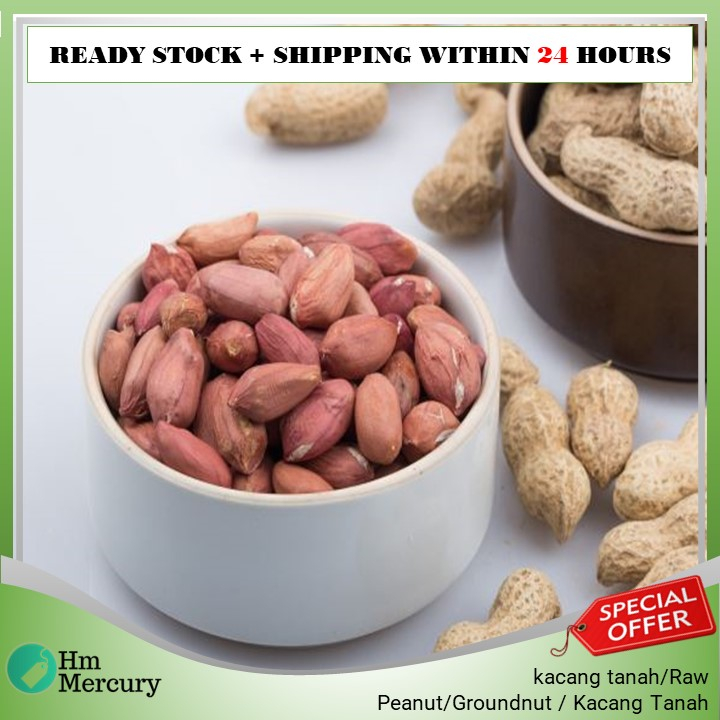 Raw Peanut Groundnut Peanut Groundnut Raw Peanut | Shopee Singapore