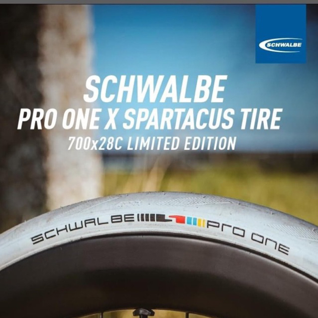 Schwalbe Pro One Tubeless Tires( X Spartacus ) | Shopee Singapore