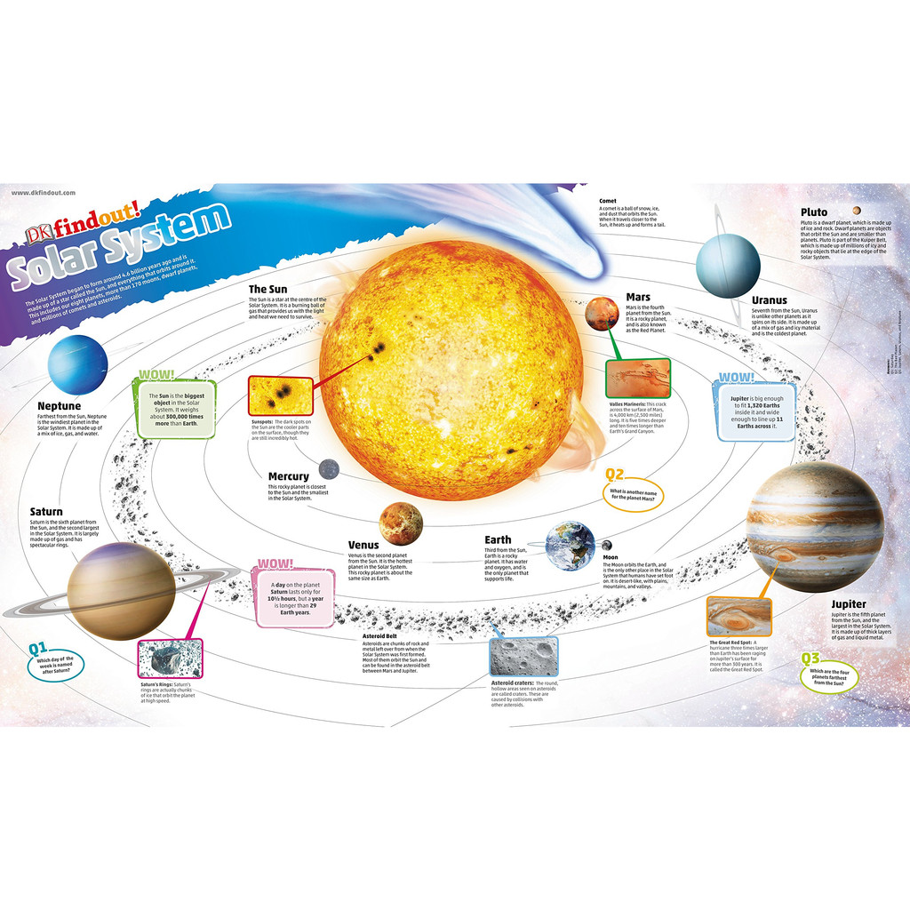 FOLDED DKfindout! Poster Solar System / Animals / Bugs / Human Body ...