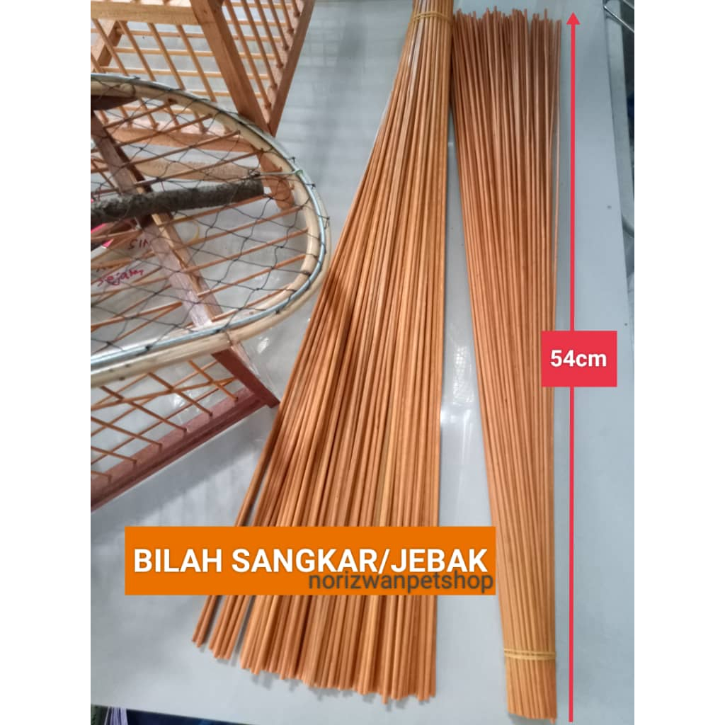 MERAH (100pc) BIRD CAGE BAND/JACK BAND ( LENGTH 54CM/21 INCH) 2.5mm 3 ...