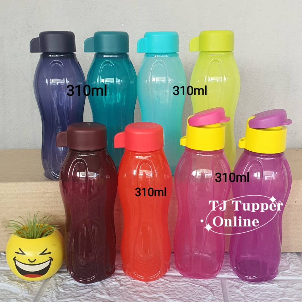 Tupperware Eco Bottle 310ml Screw Cap or Fliptop Cap - Maroon / Dark ...