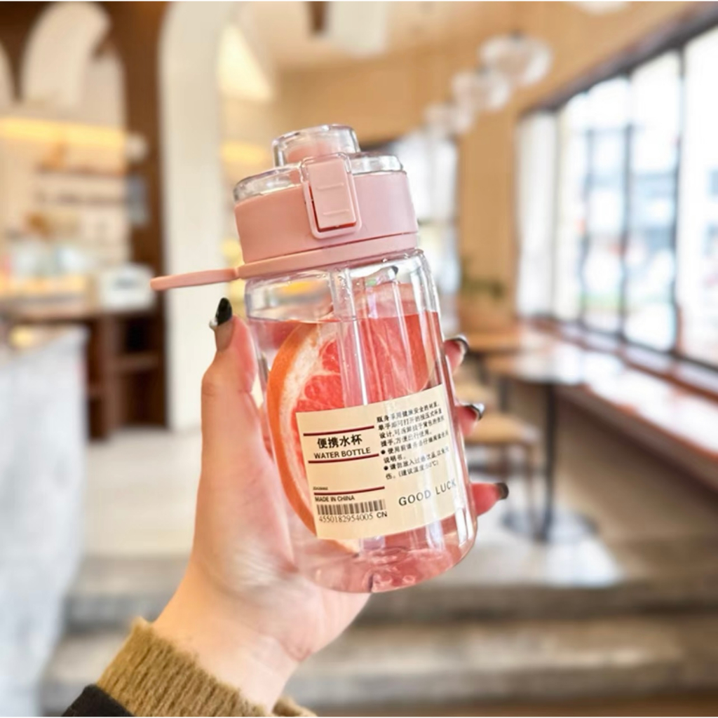 Ocean_MUJI Japanese Style Simple Water Bottle With Tea Filter 350/550 ...