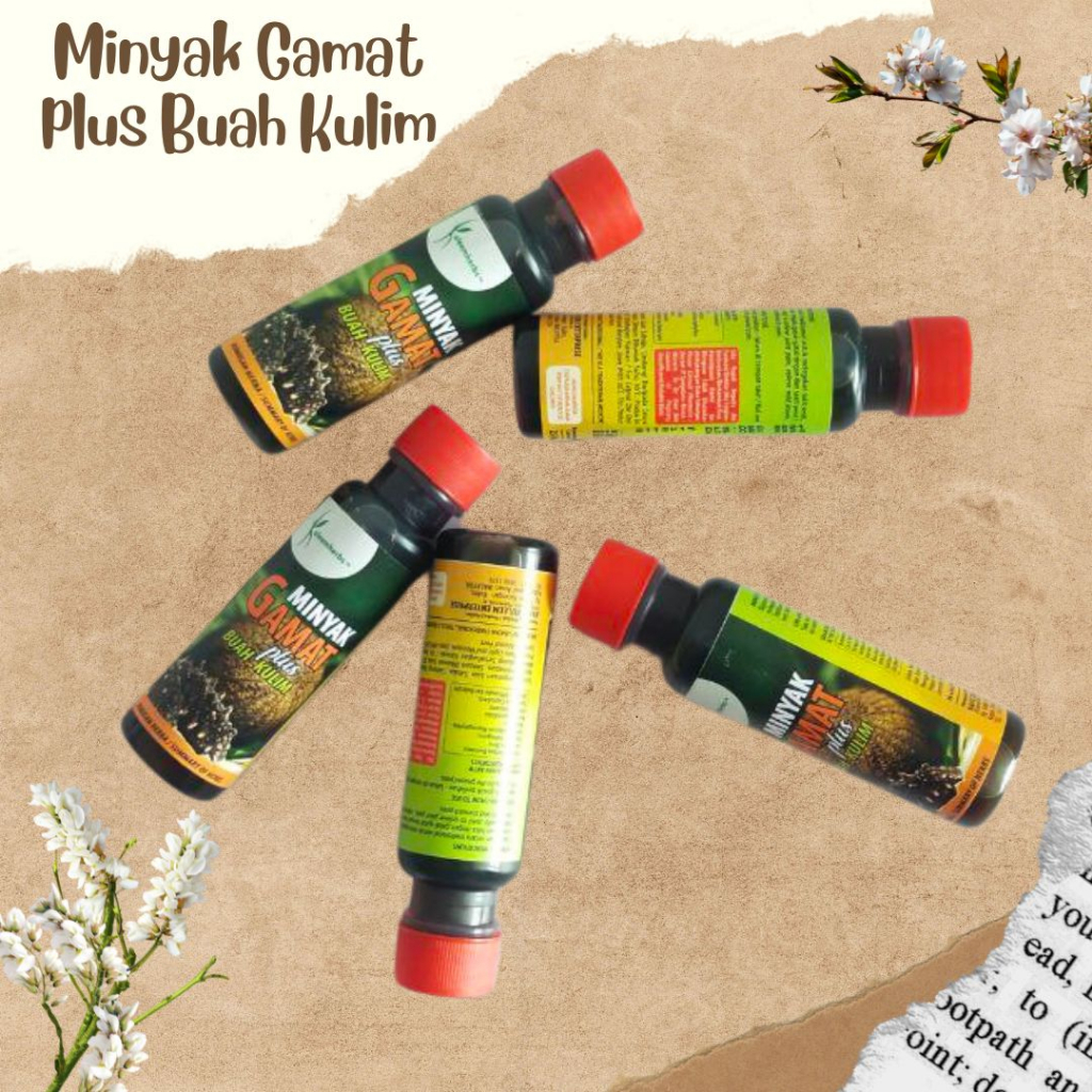Gamat Oil Plus Kulim Fruit (Wind Oil) | Shopee Singapore