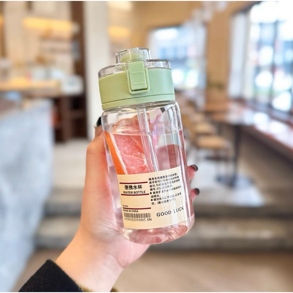 Ocean_MUJI Japanese Style Simple Water Bottle With Tea Filter 350/550 ...