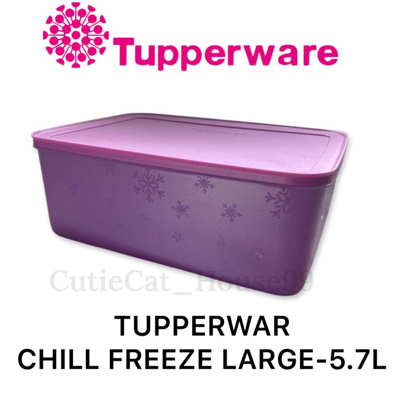 TUPPERWARE CHILL FREEZE LARGE-5.7L (1pcs ) | Shopee Singapore